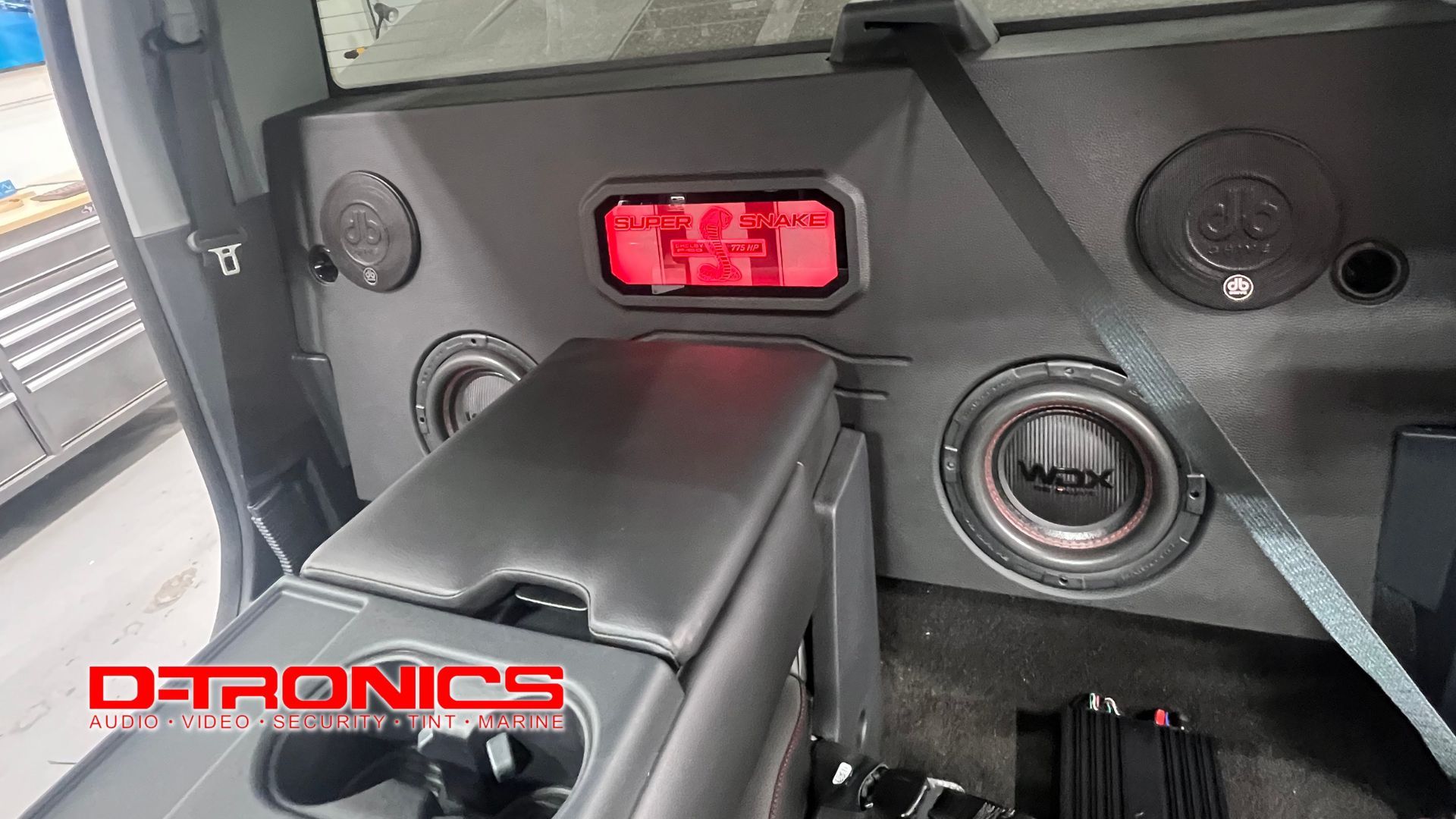 FORD SHELBY SUPER SNAKE D-TRONICS CUSTOM INSTALLATION