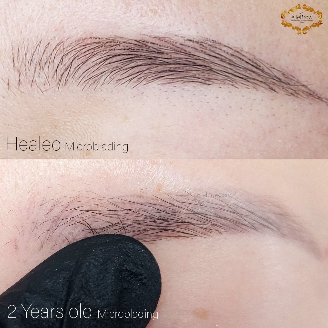 Microblading After 5 Years | What Does it Look Like? | Ellebrow NYC