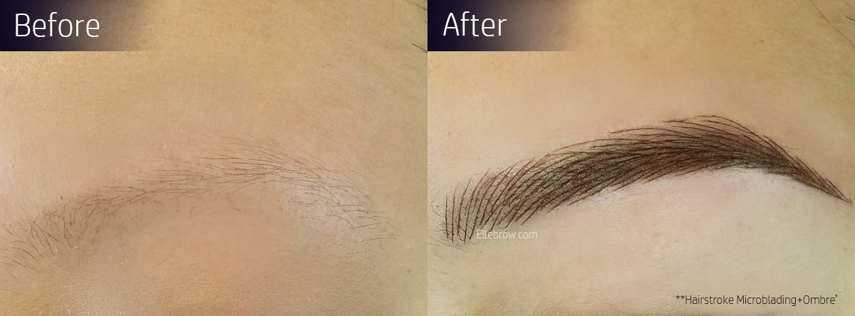 Microshading NYC | Powder Brows | Ombre Brows - Your Eyebrow Secret