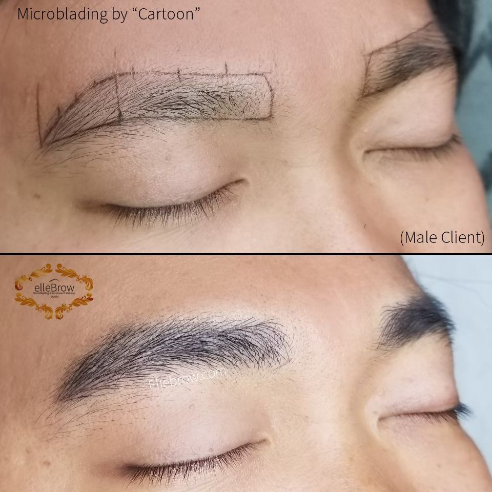 Microblading and Nano Brows Before and After | Ellebrow NYC