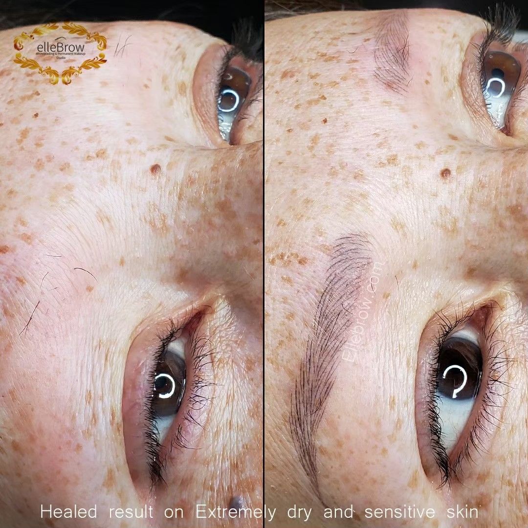 Microblading and Nano Brows Before and After | Ellebrow NYC