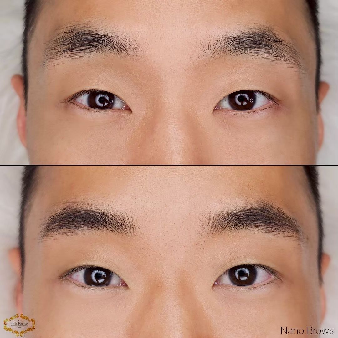 Nano Brows Before and After Photos | Ellebrow NYC