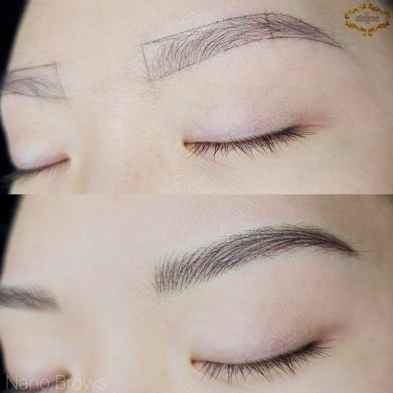 Nano Brows Before and After Photos | Ellebrow NYC