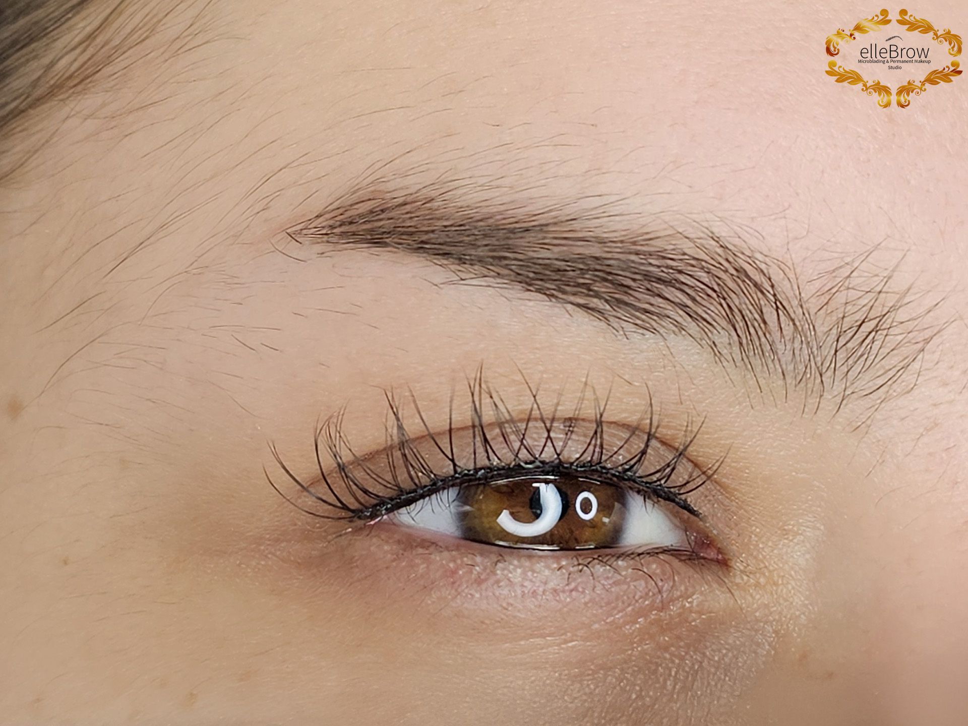 Nano Brows Before and After Photos | Ellebrow NYC
