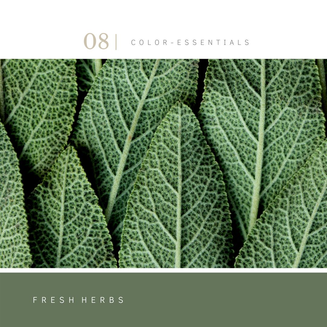 color essentials | Villa18 Interieurs