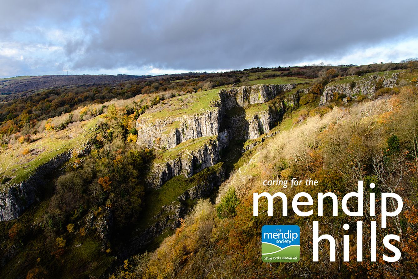 The Mendip Society | Home | Mendip Hills | Somerset Hills