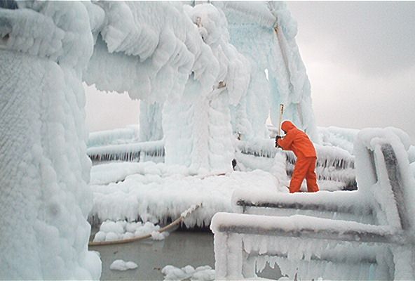 Harvesting Photo Gallery | Alaska Fishermens Museum