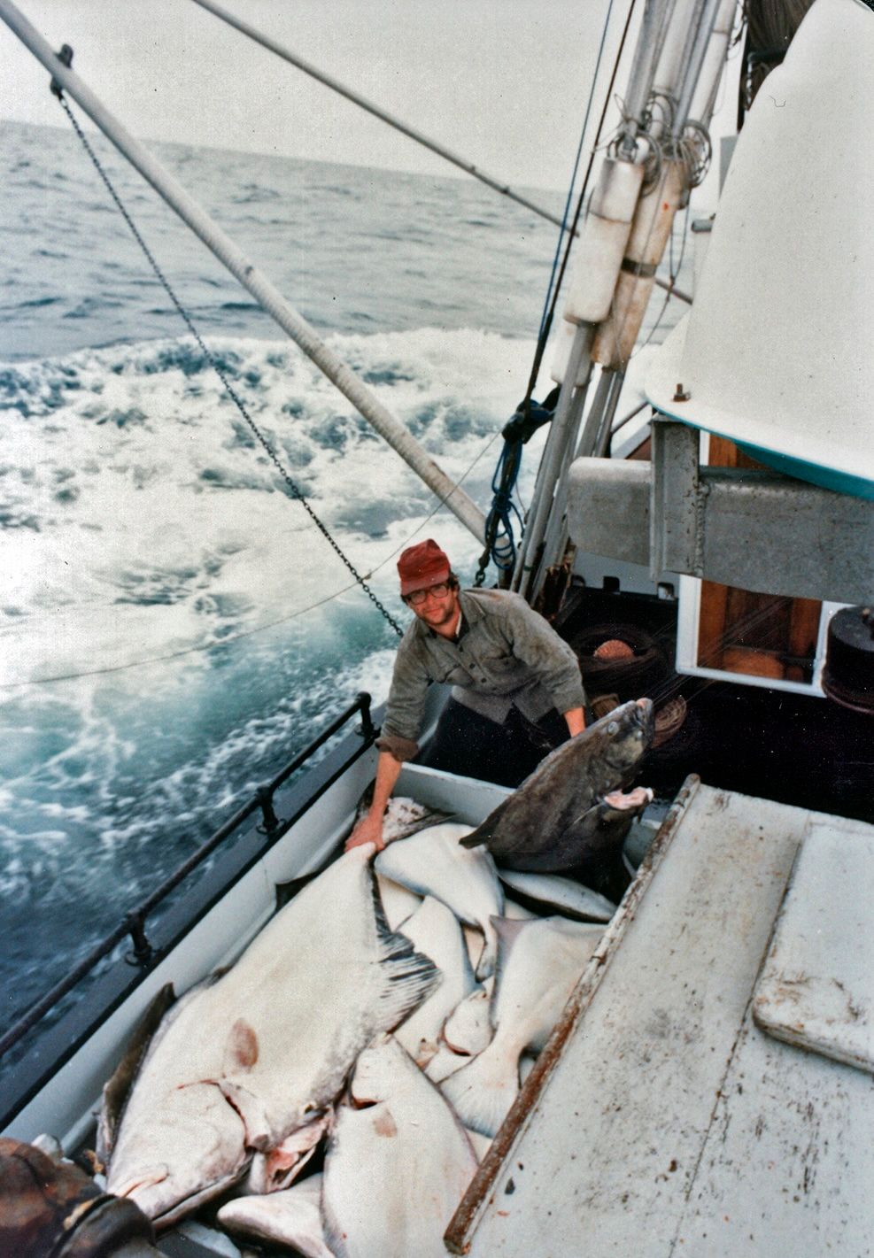Harvesting Photo Gallery | Alaska Fishermens Museum
