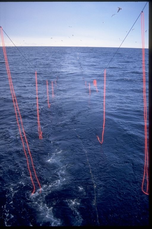 Harvesting Photo Gallery | Alaska Fishermens Museum