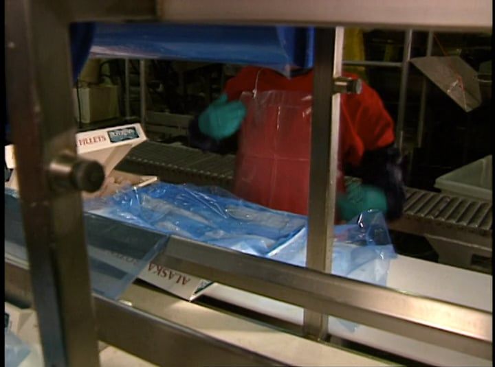 King Cove, Alaska, Big Seafood Processing Plant