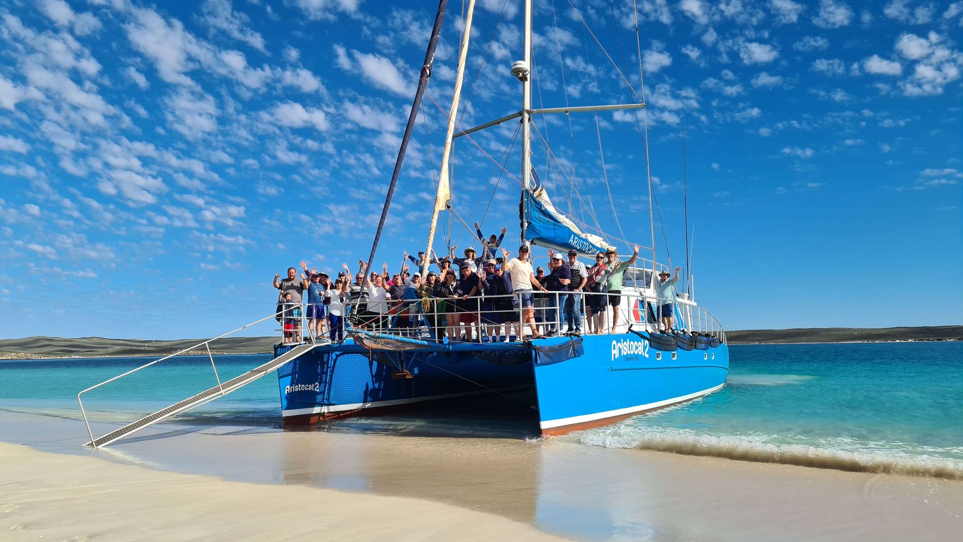 Shark Bay Seagrass Restoration | Monkey Mia