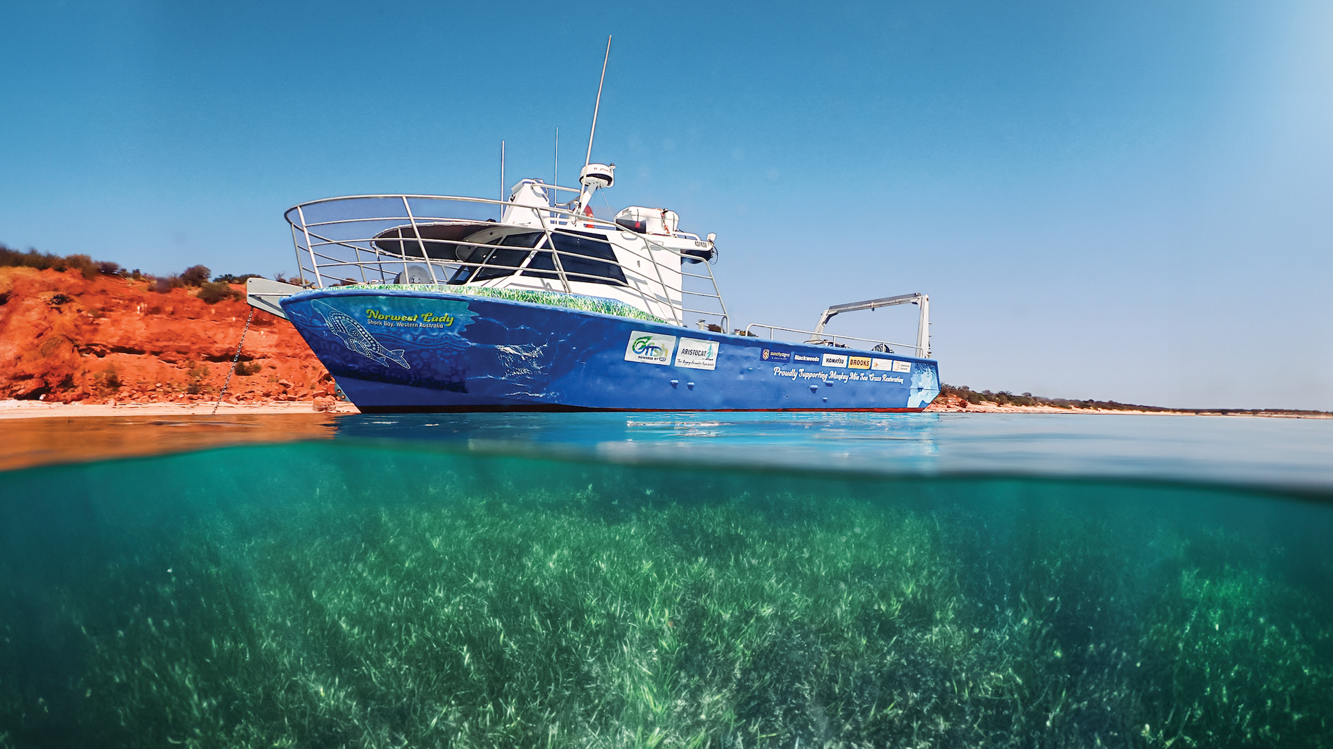 Seagrass Restoration | Shark Bay