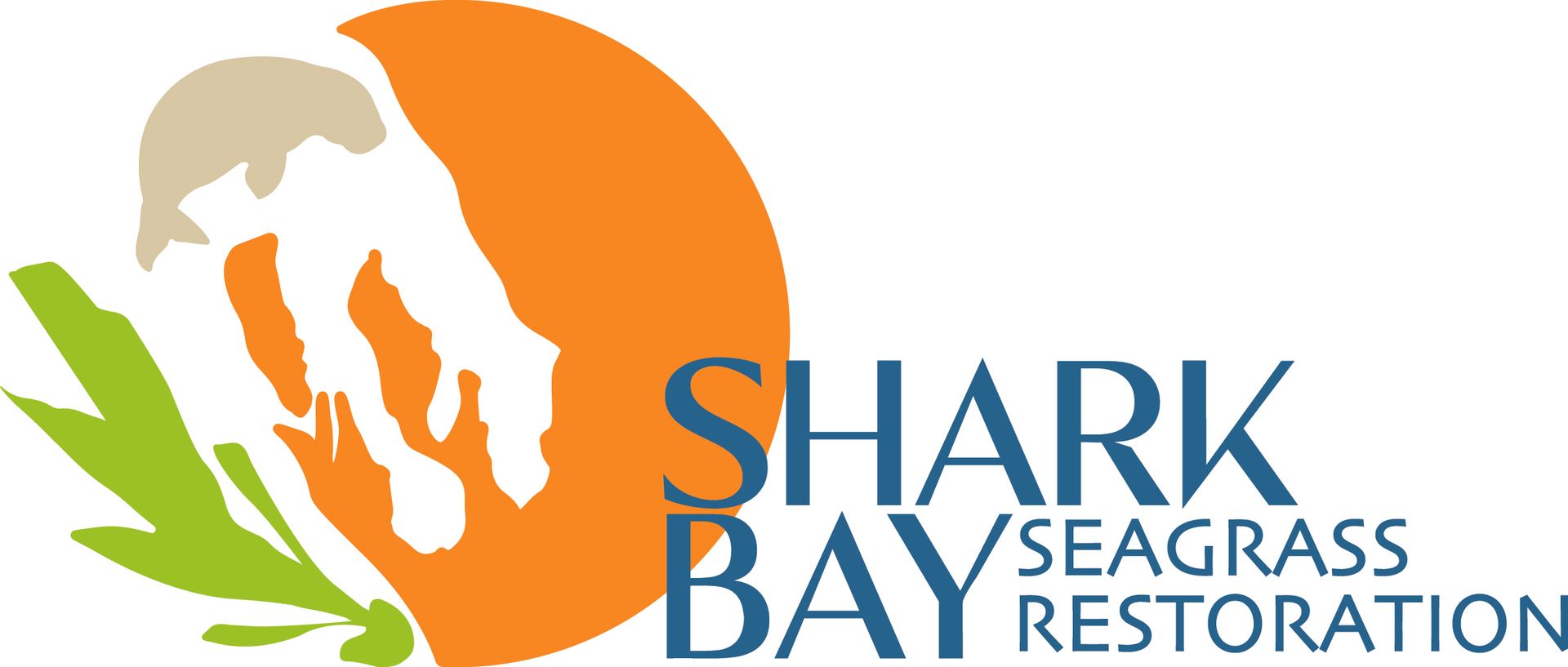 Seagrass Restoration | Shark Bay