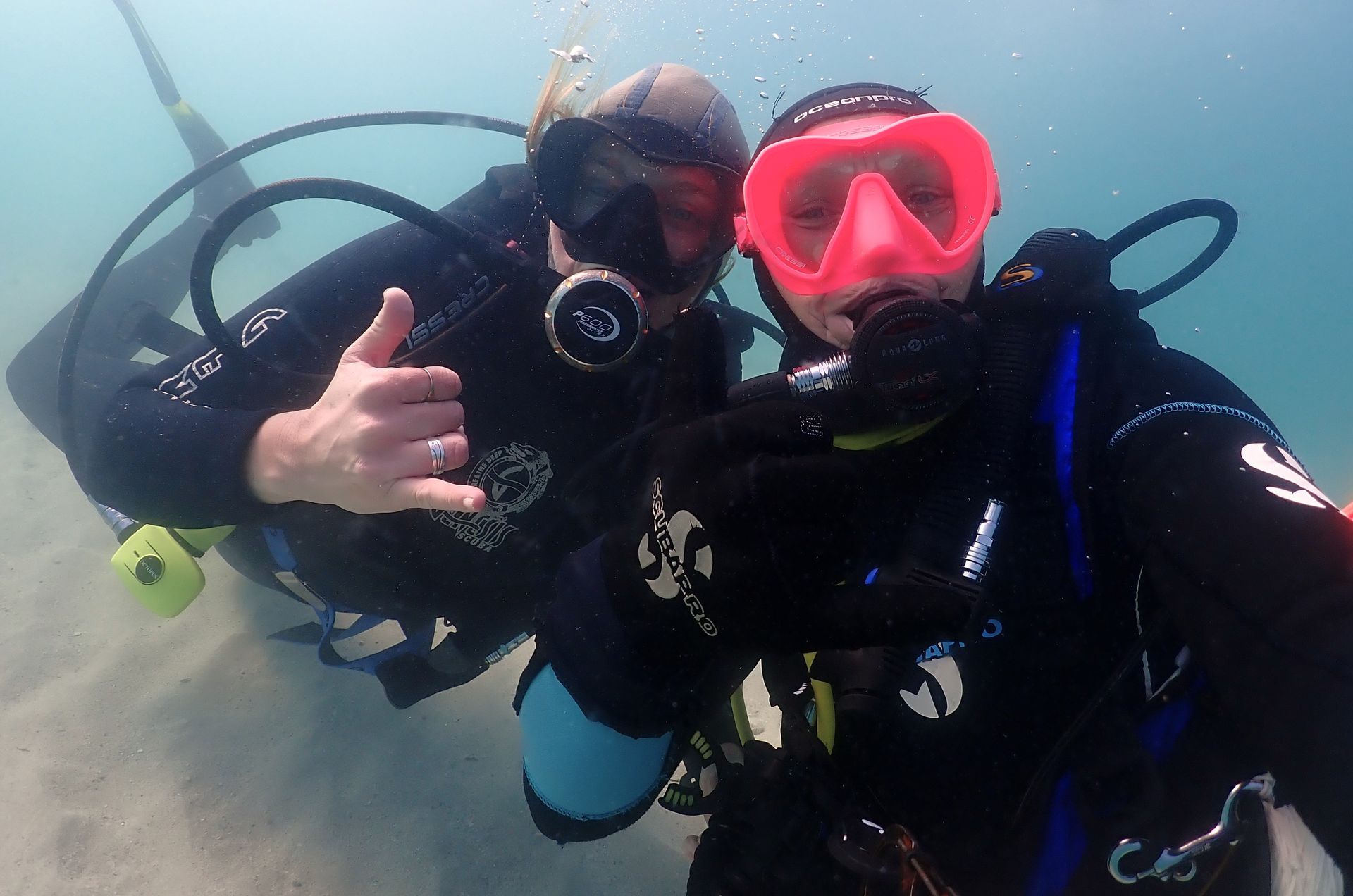 Seagrass Restoration | Shark Bay