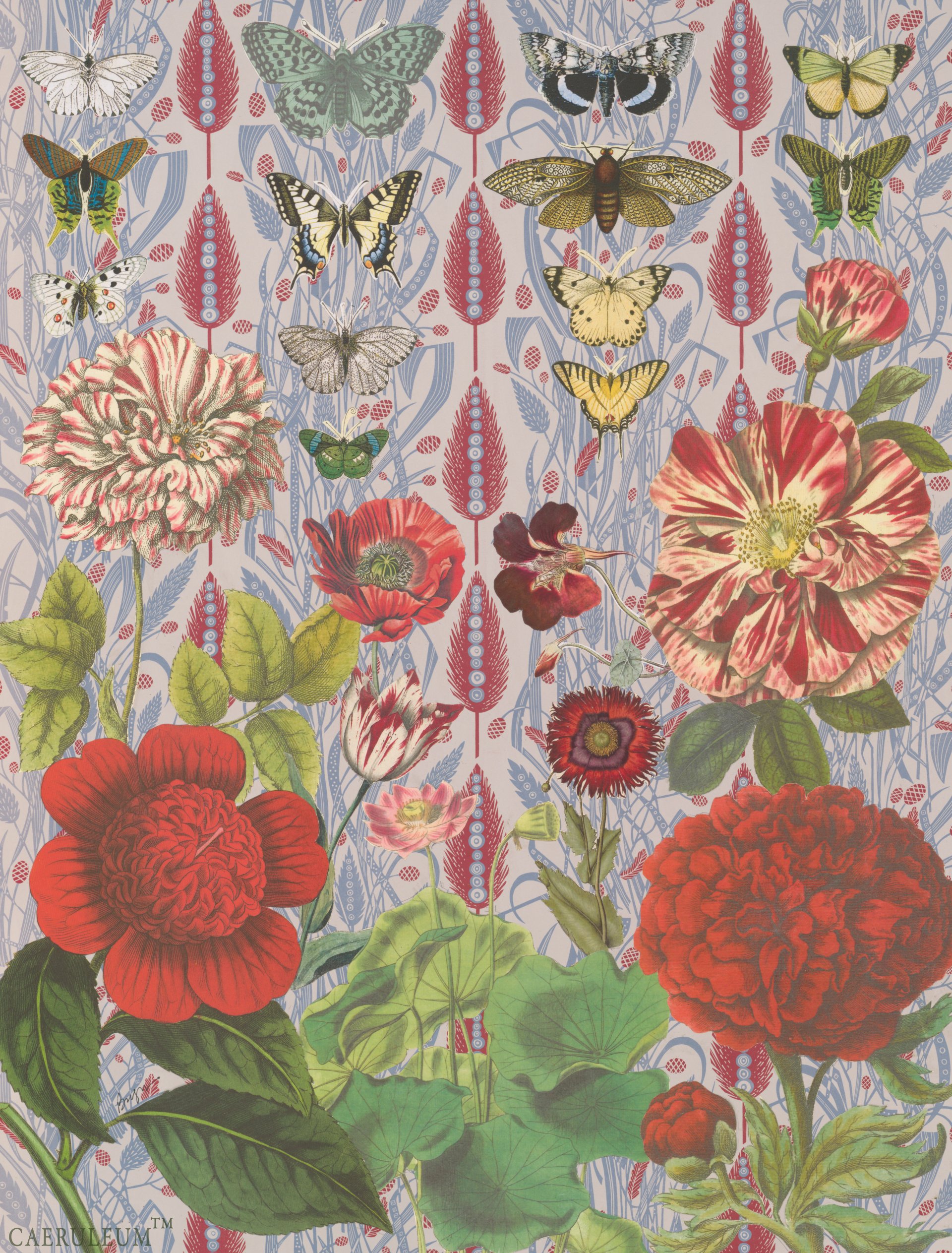 Elayne Bryn Art