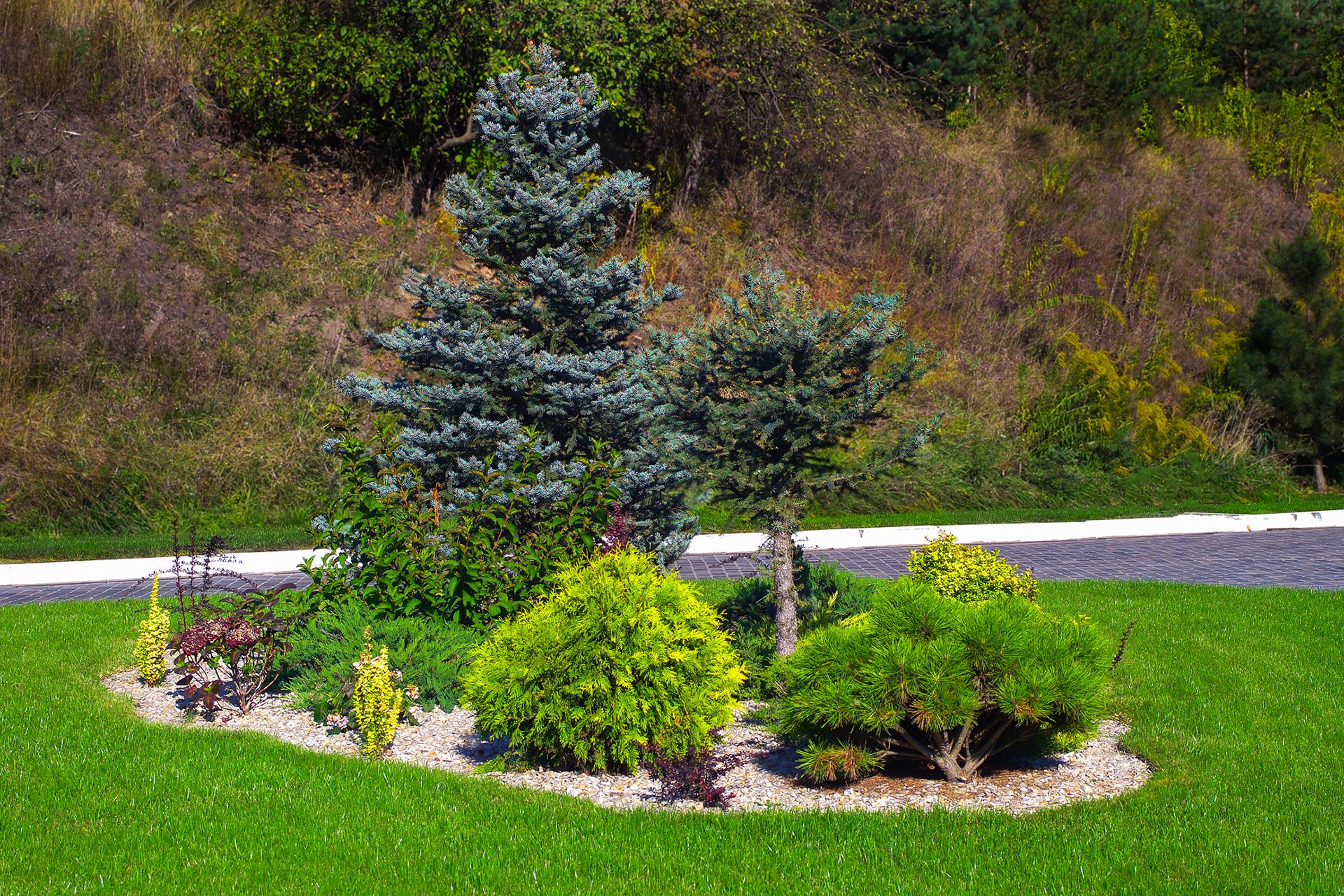 Best Tree & Shrub Planting Services