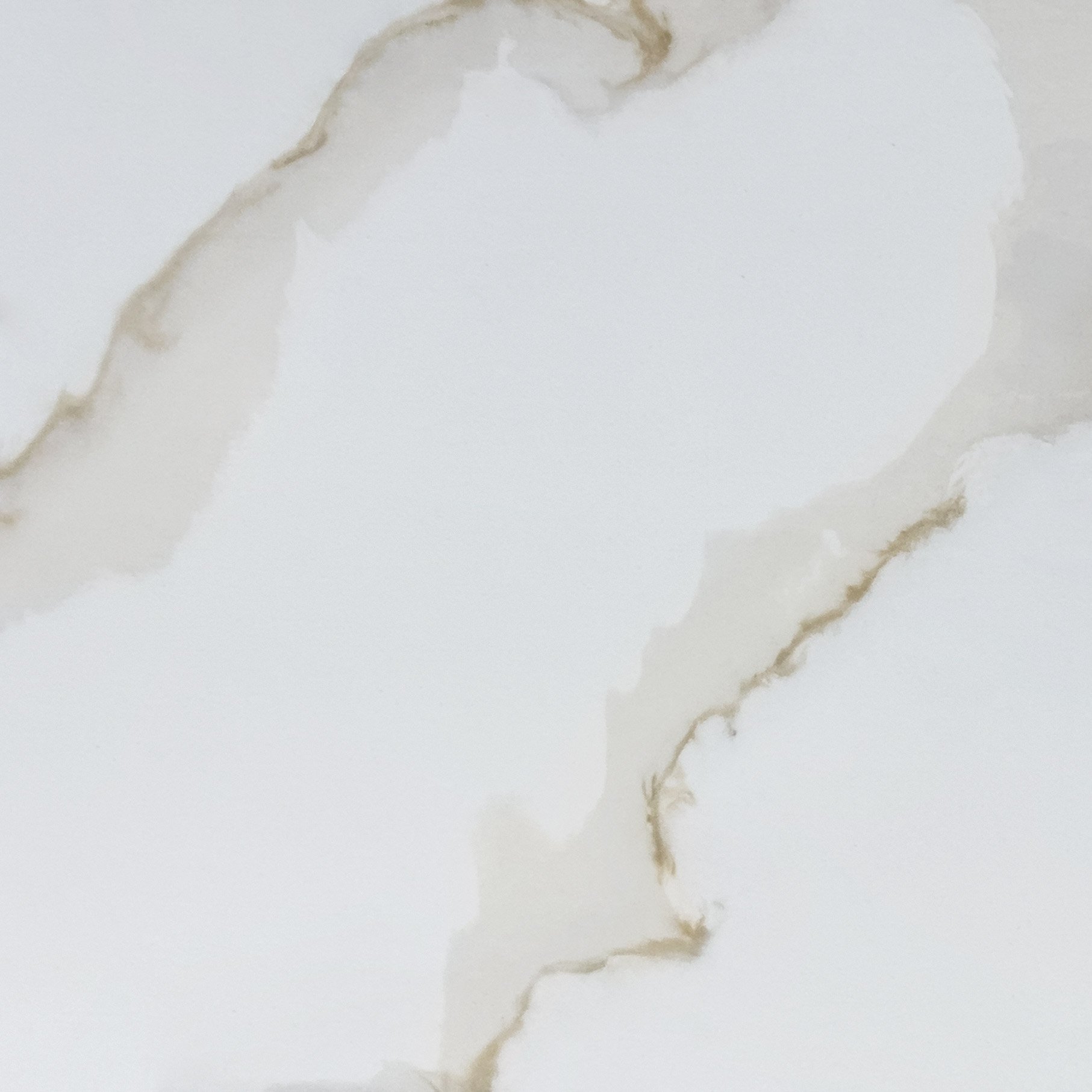 Check out our past work