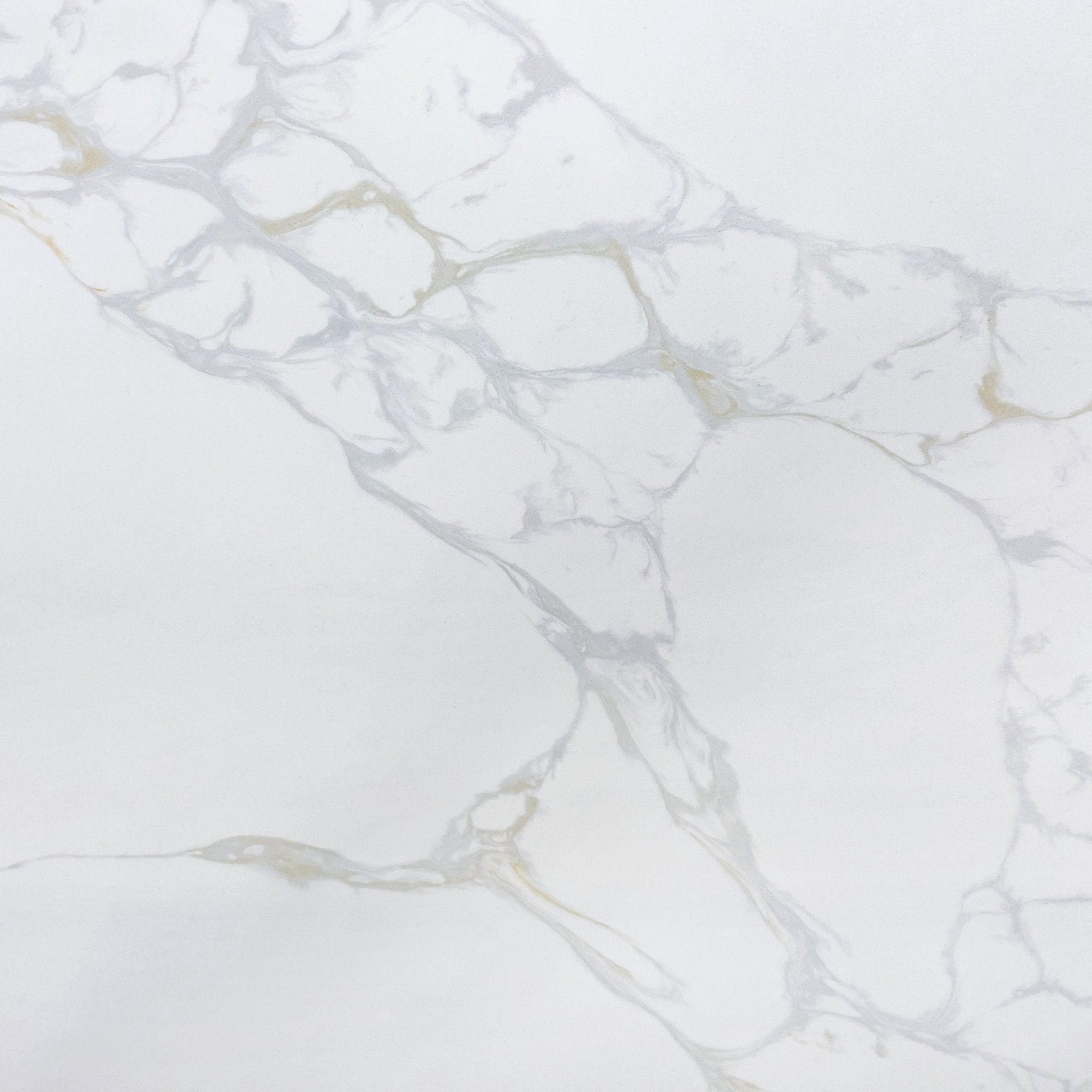 Check out our past work