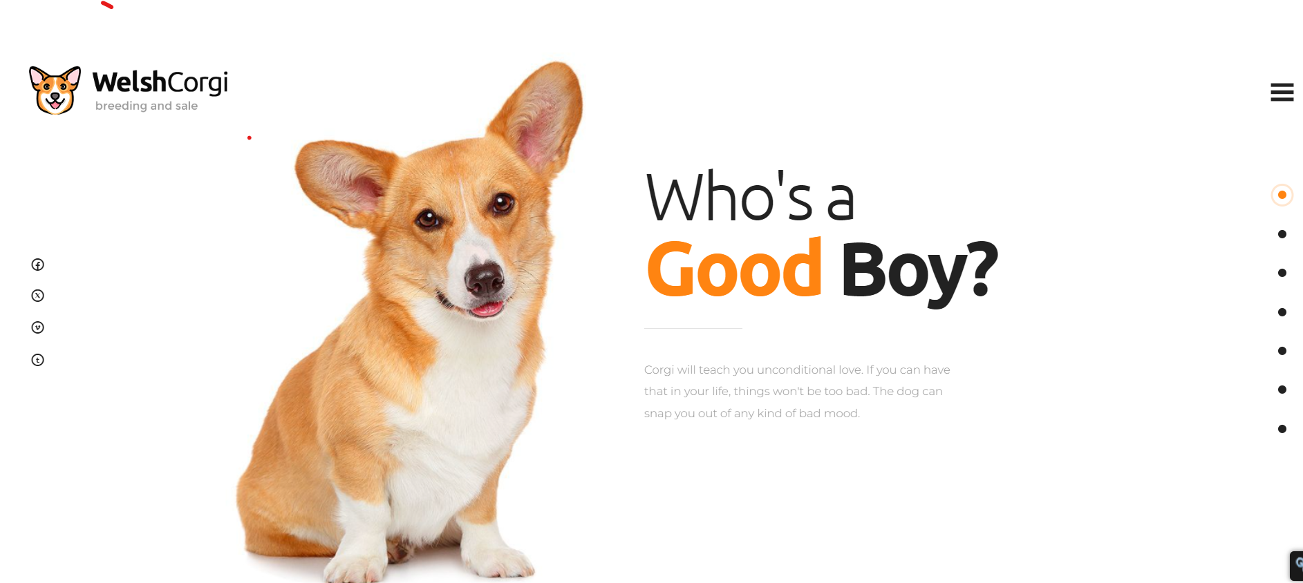 Dog Breeder Web Design | Snapps.ai