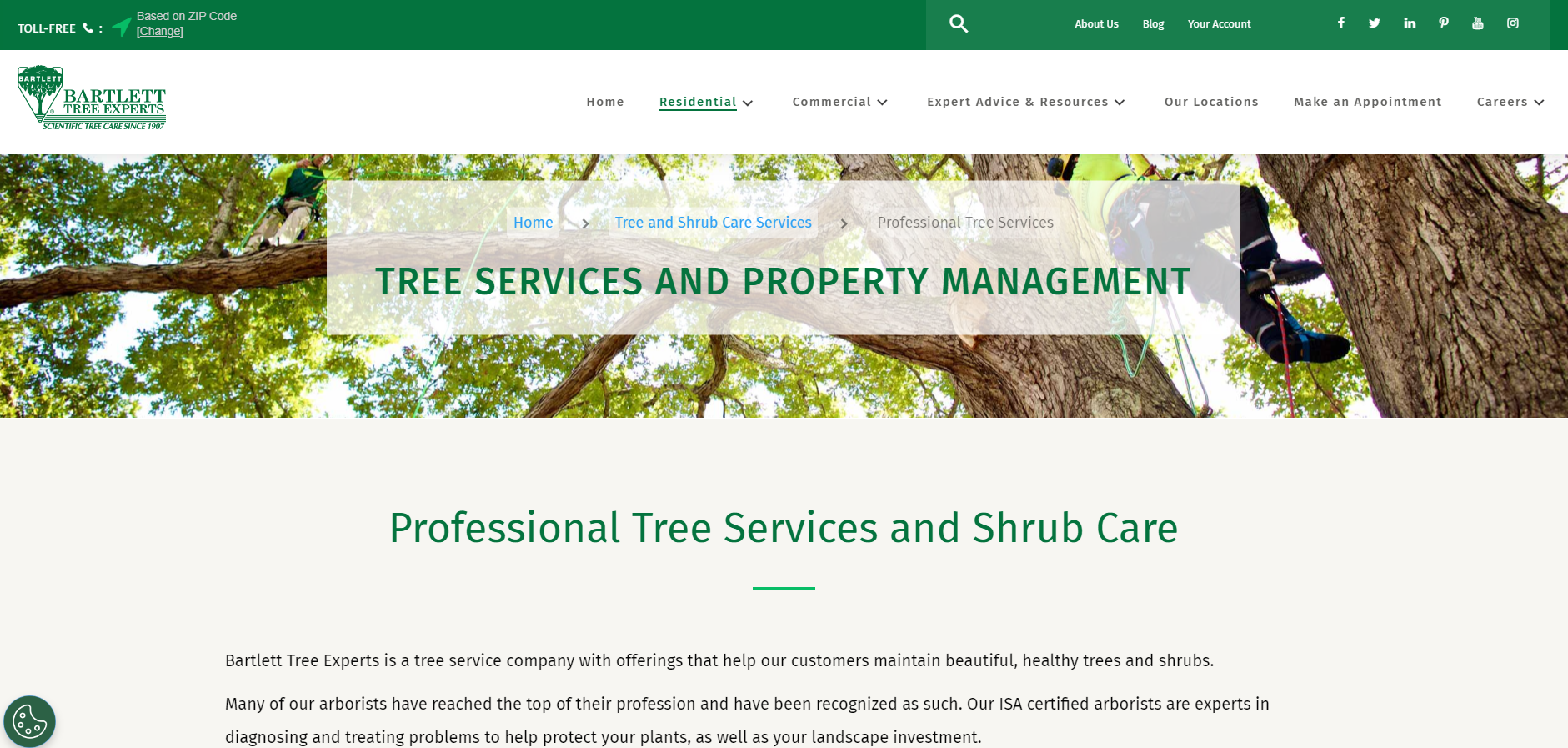Top 7 Tree Service Website Design Examples + Key Elements of Successful ...