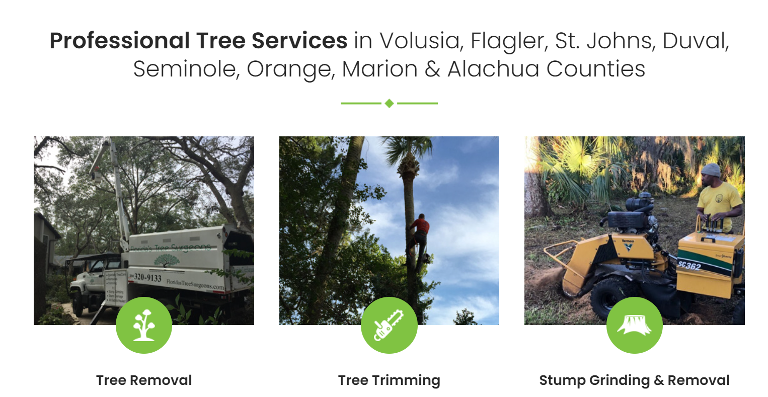 Top 7 Tree Service Website Design Examples + Key Elements of Successful ...