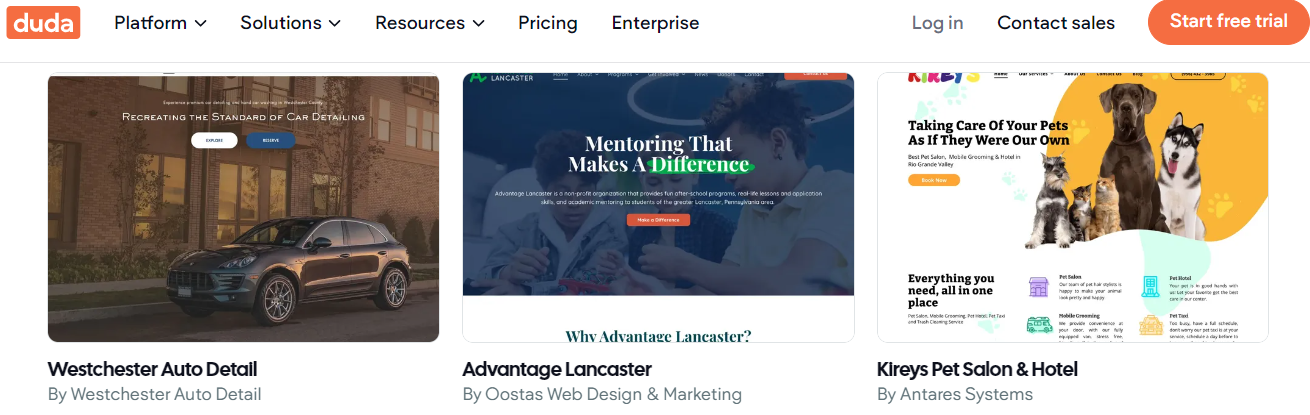 Drag and Drop Website Examples & Designs for First-Time Users - snapps.ai