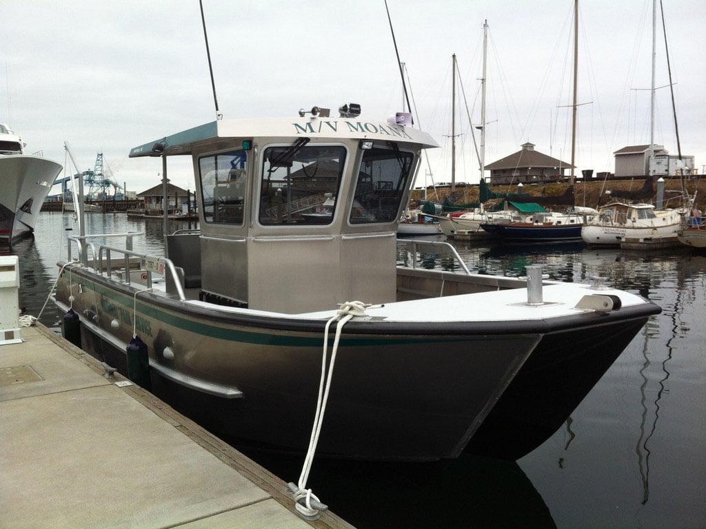 Catamarans/Tour Boats | Lee Shore Boats