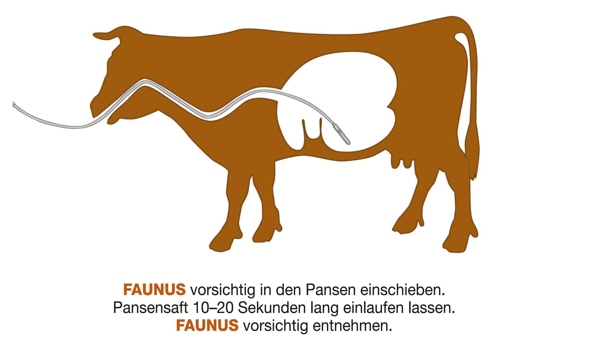 FAUNUS. Pansenproben für jeden