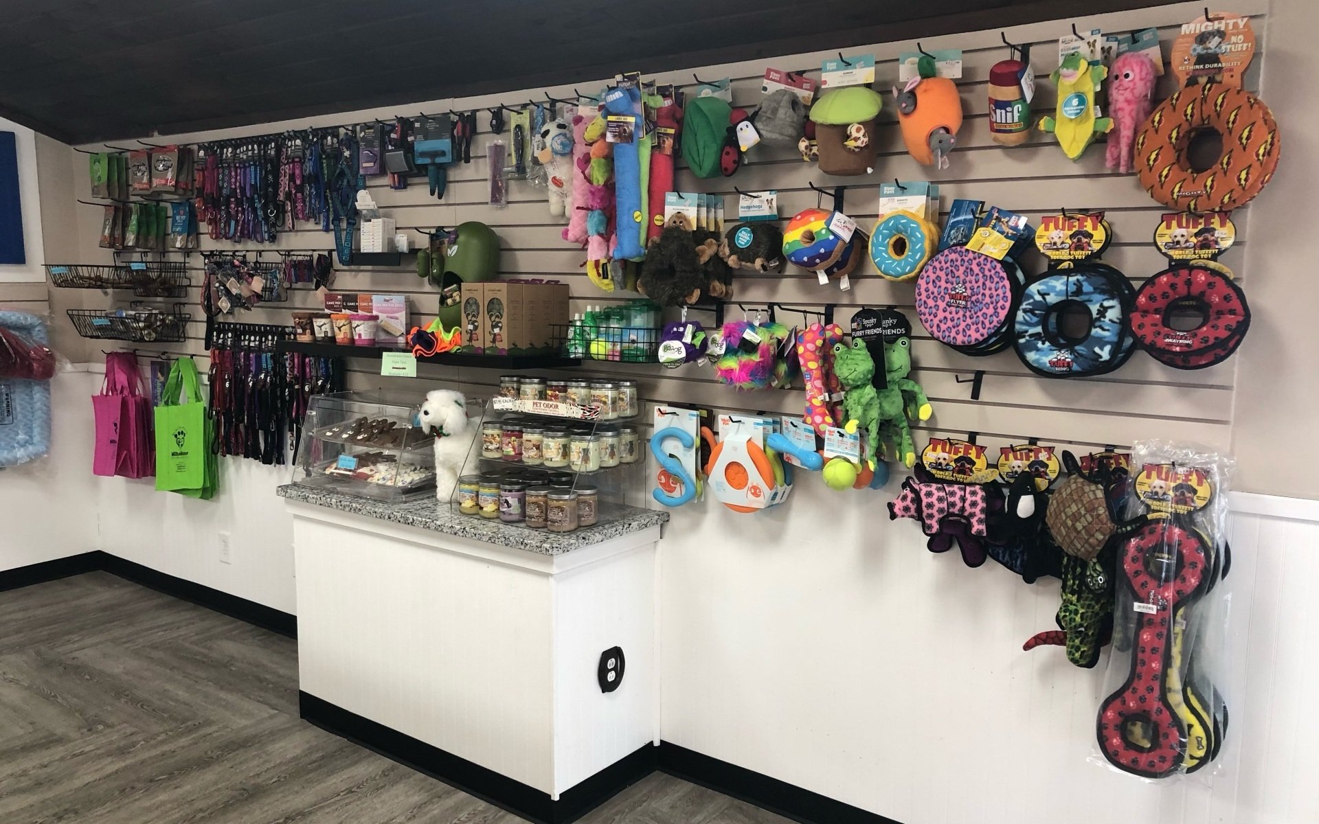 Luxury Pet Resort & Spa Near Saratoga NY Offering Pet Boarding ...