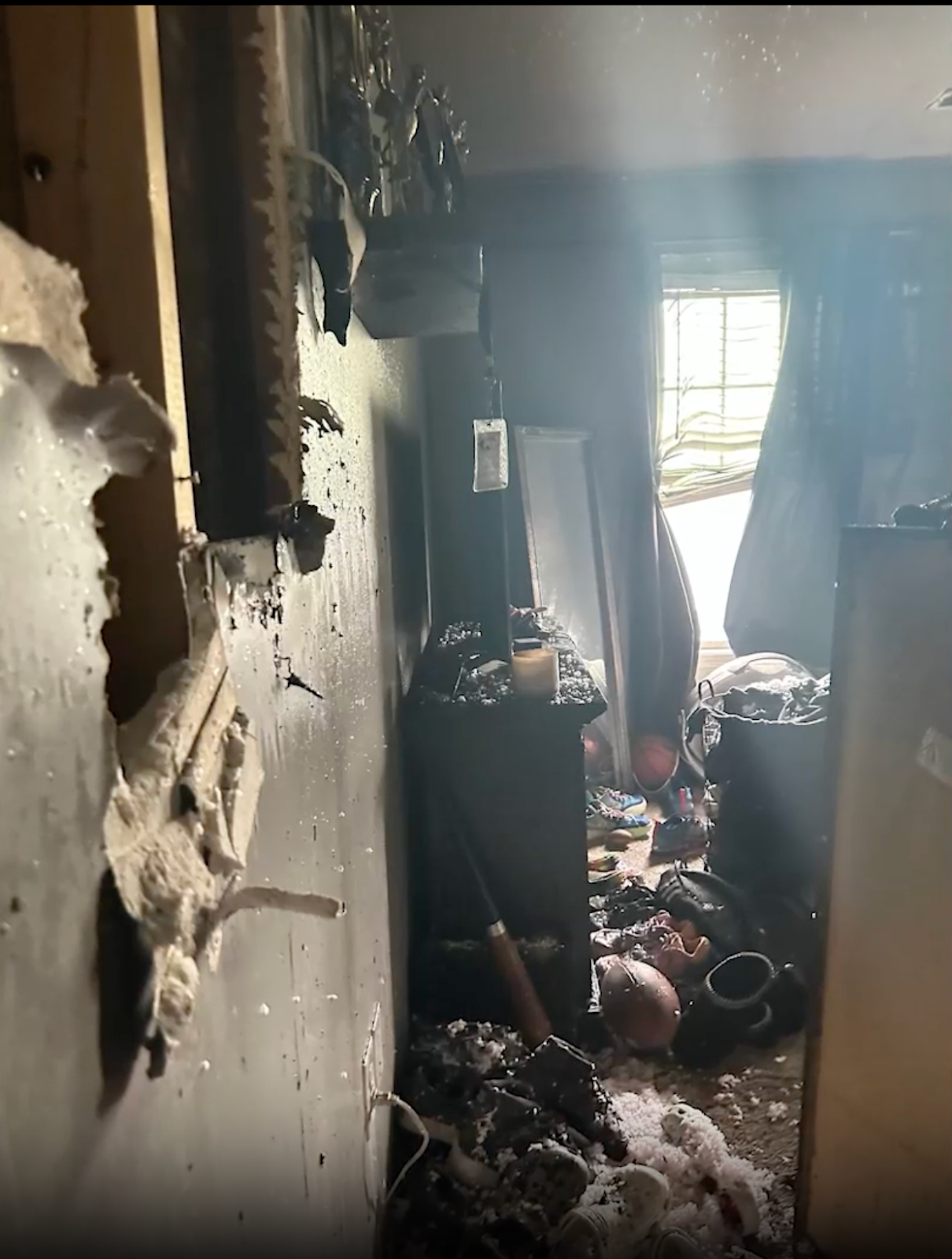 How a Silent Guard Security System Saved Ryan Lemond’s Home and Three Dogs