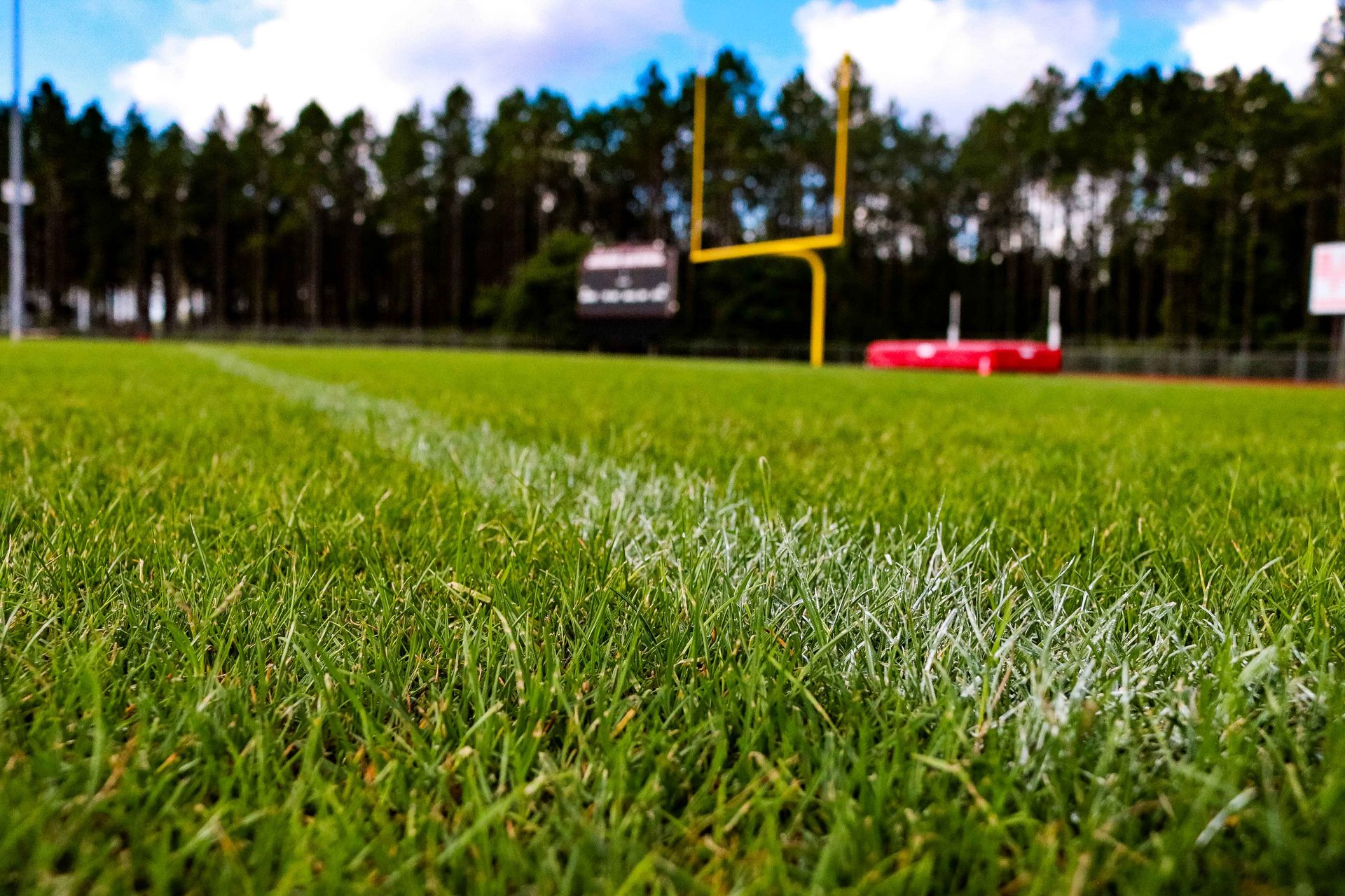 Wholesale Sod Supplier –Serving Northeast, FL – Tater Farms