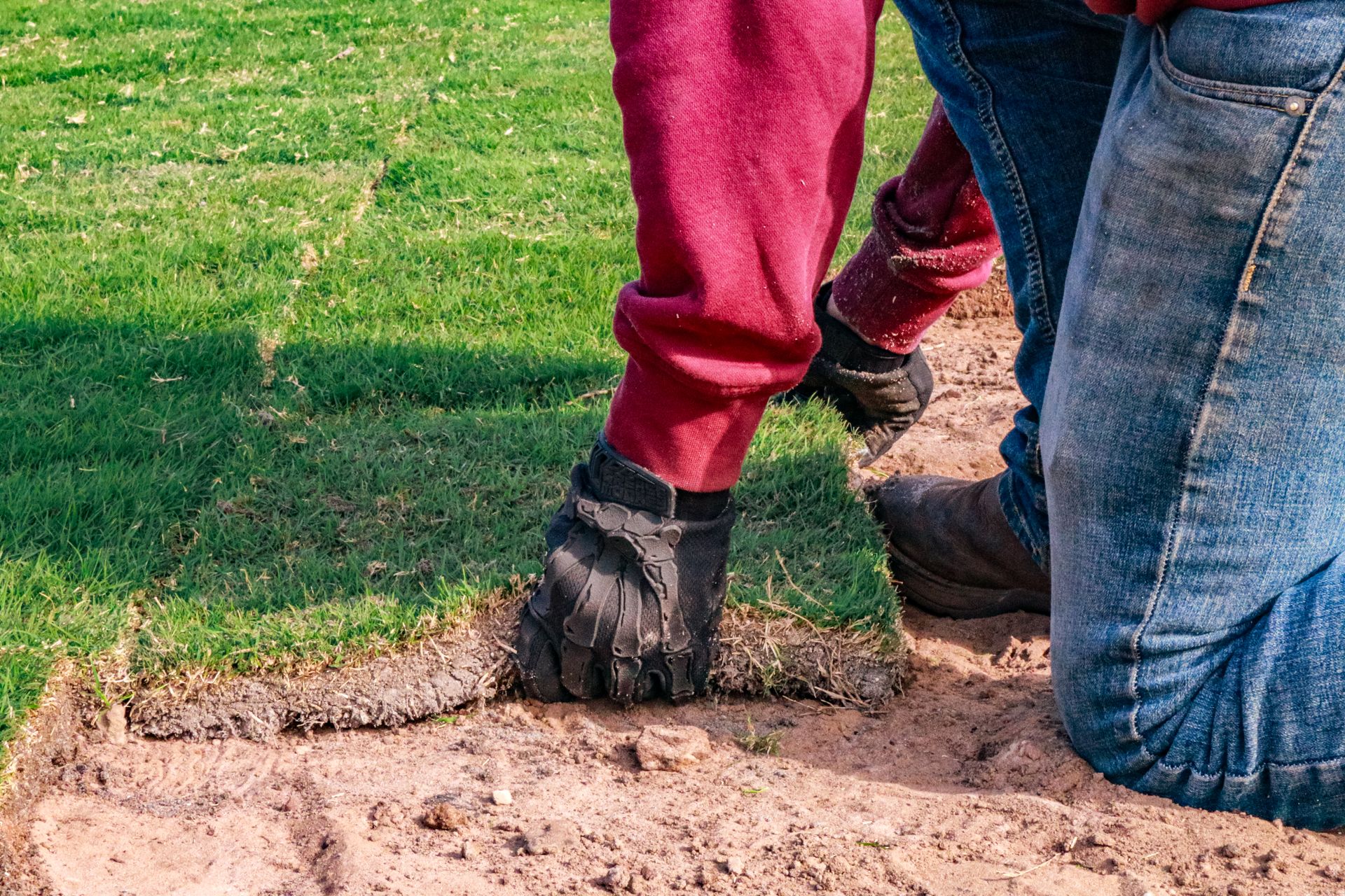 Sod Installation | North East Florida | Tater Farms