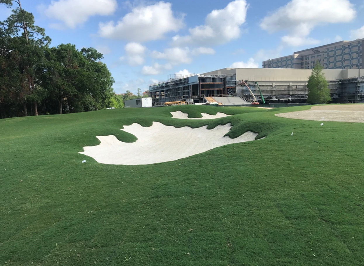 TifTuf, Bimini, and 419 Bermuda Sod | Jacksonviille, FL. Tater Farms