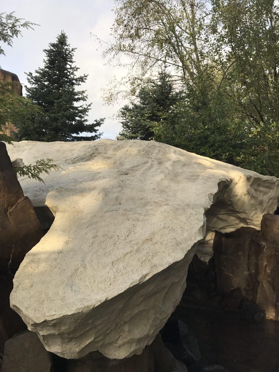 Clean Services NW Inc