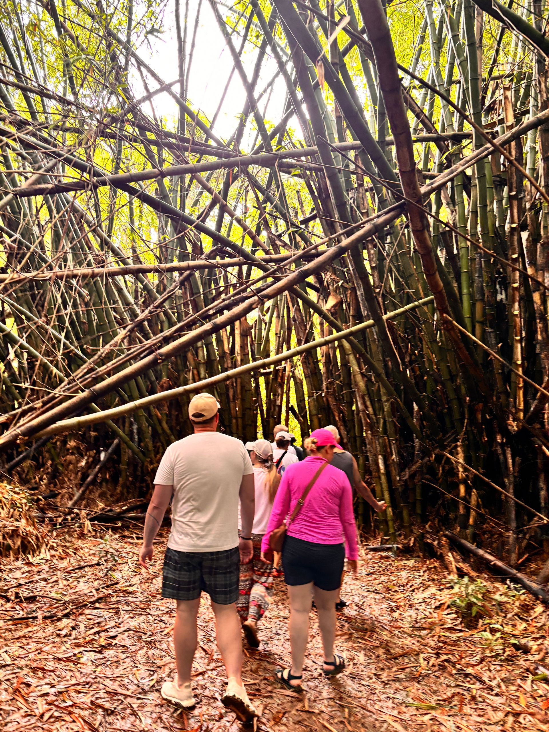 Tours & Activities | Azure Del Mar | Placencia, Belize