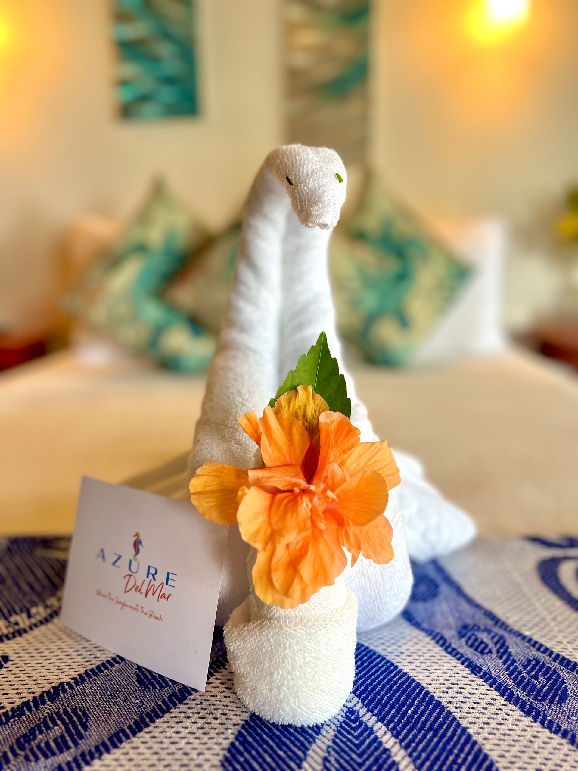 Luxury Cabanas | Spa Packages | Azure Del Mar