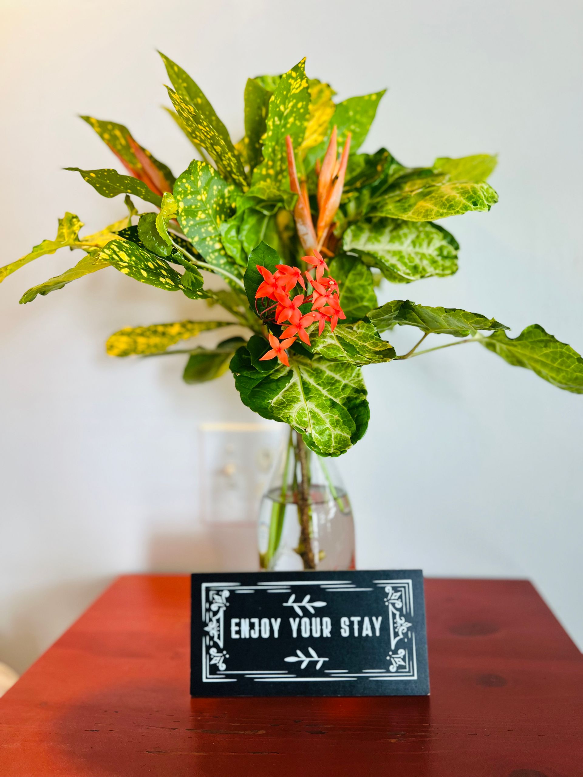 Luxury Cabanas | Spa Packages | Azure Del Mar