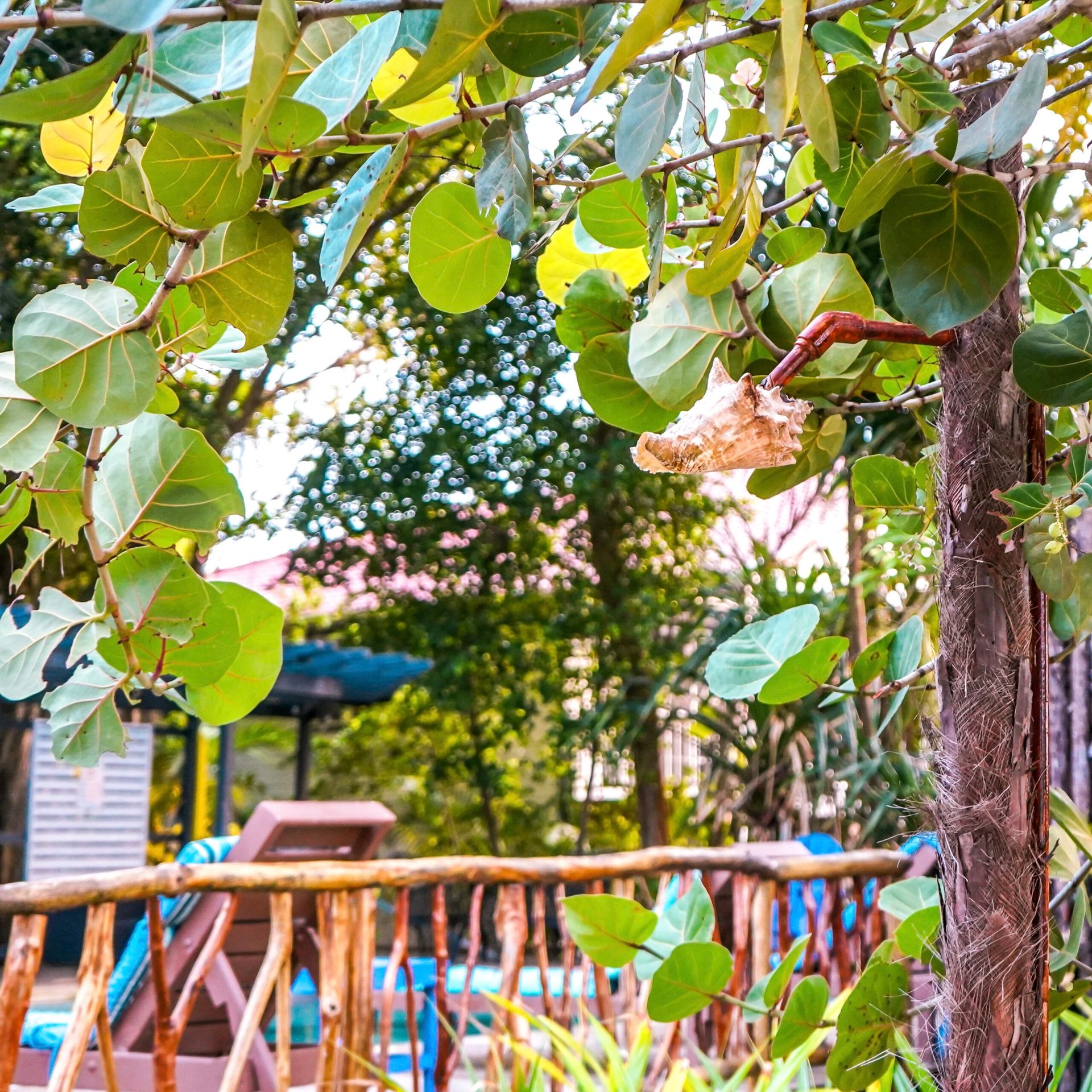 Luxury Beachfront Retreat | Azure Del Mar | Placencia, Belize