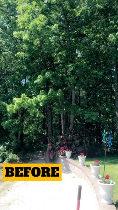 Gallery | JP Tree Services | Dudley, MA