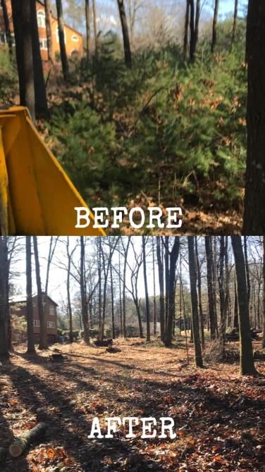 Gallery | JP Tree Services | Dudley, MA