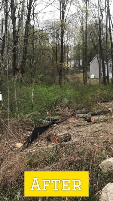 Gallery | JP Tree Services | Dudley, MA