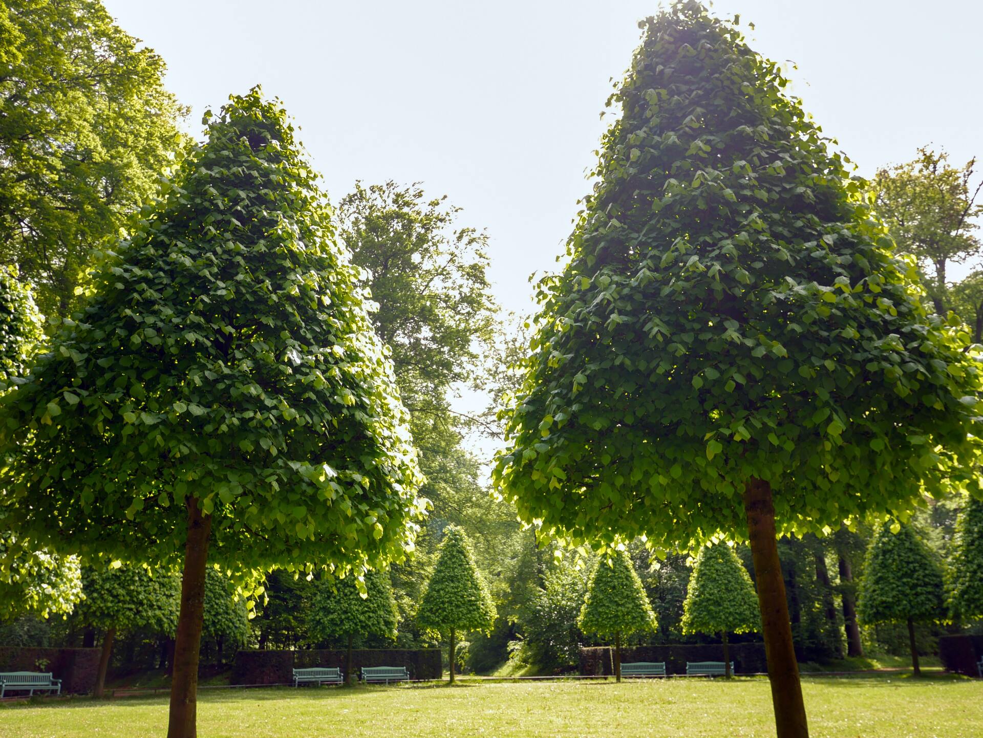 JP Tree Services | Dudley, MA