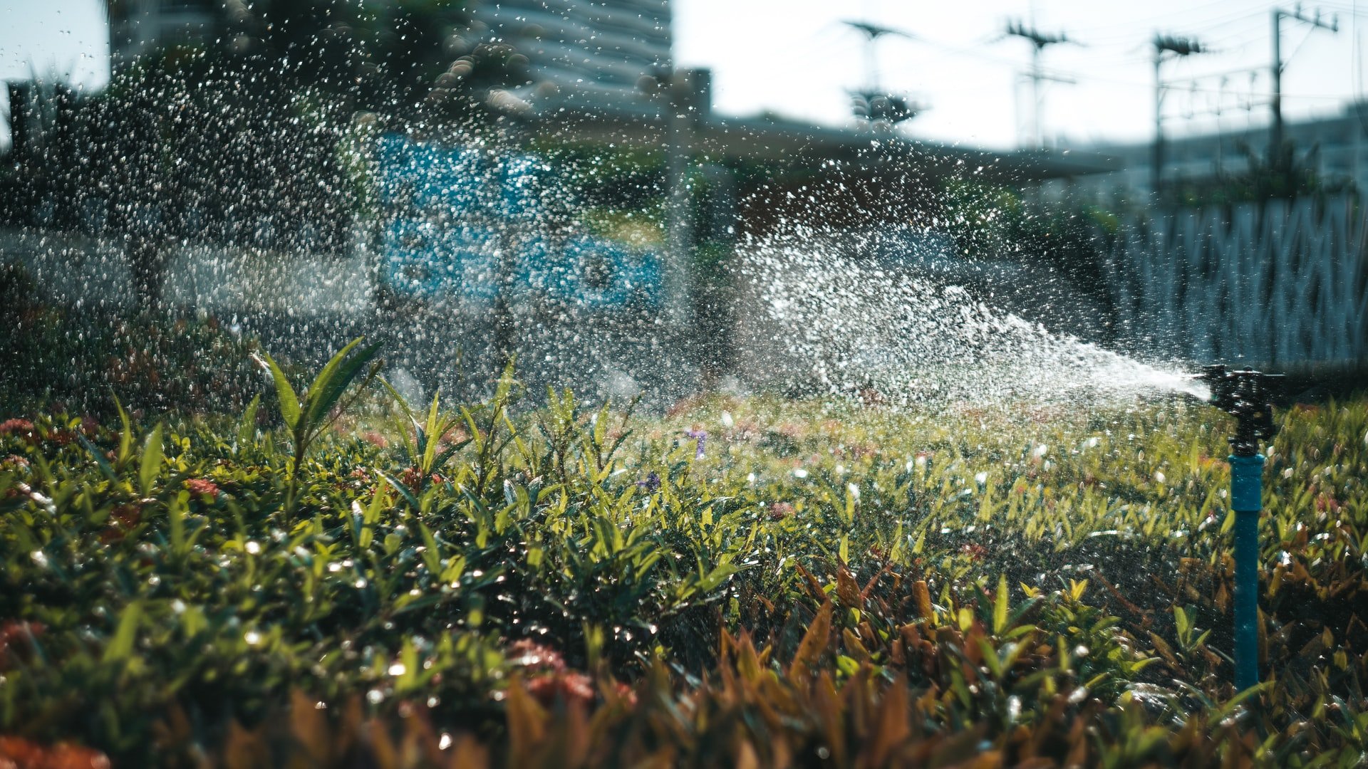 Basic Lawn Sprinkler System Design | Green Garden