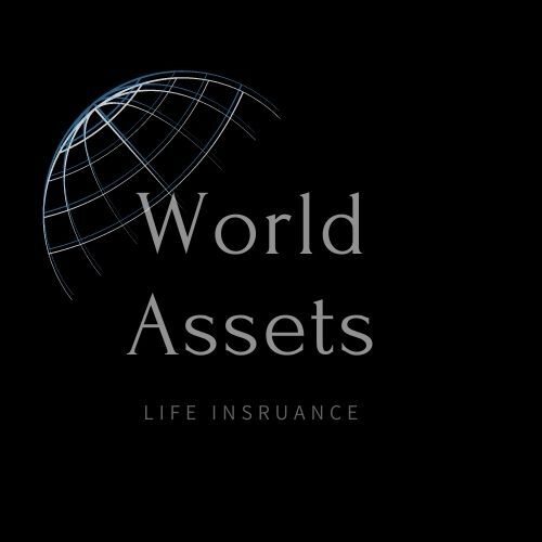 World Assets, Inc. | HOME
