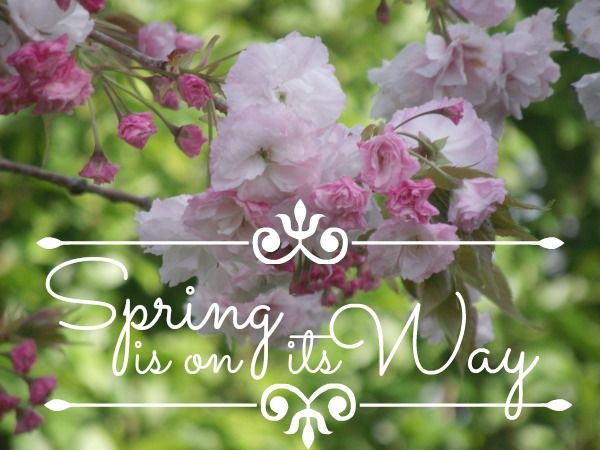 Time To Move Those Clocks Forward