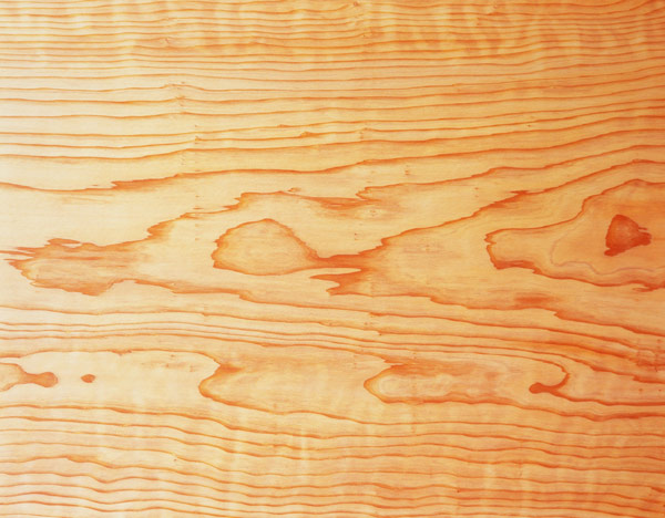 Características del cedro