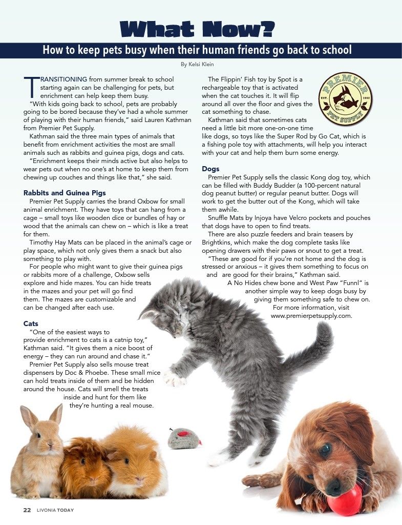 | Taylor, Michigan | Community Publishing & Marketing