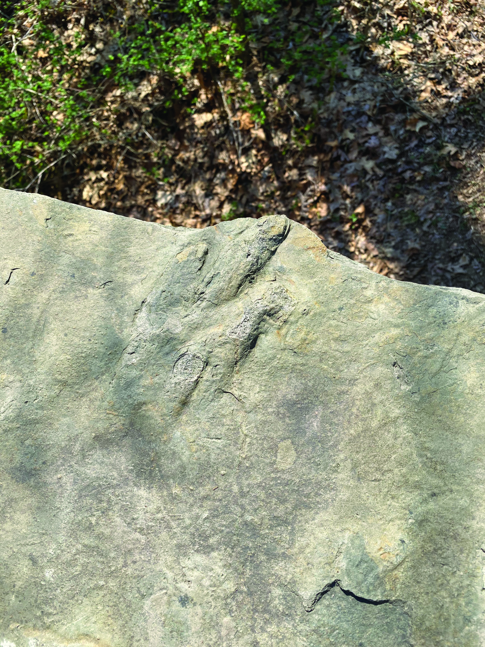 Gettysburg Dinosaur Bridge | The Gettysburg Experience