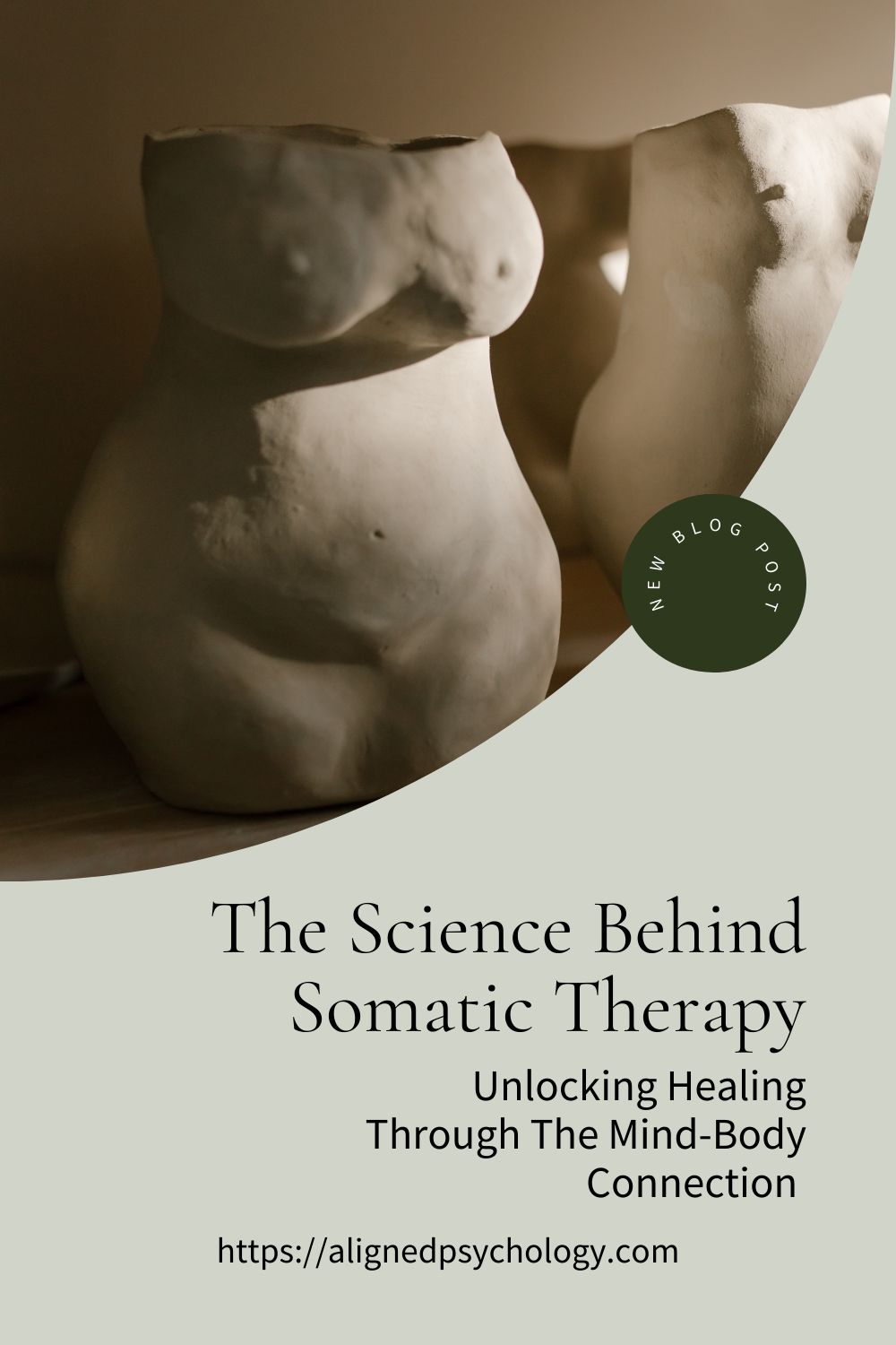 The Science Behind Somatic Therapy: Unlocking Healing Through the Mind-Body Connection