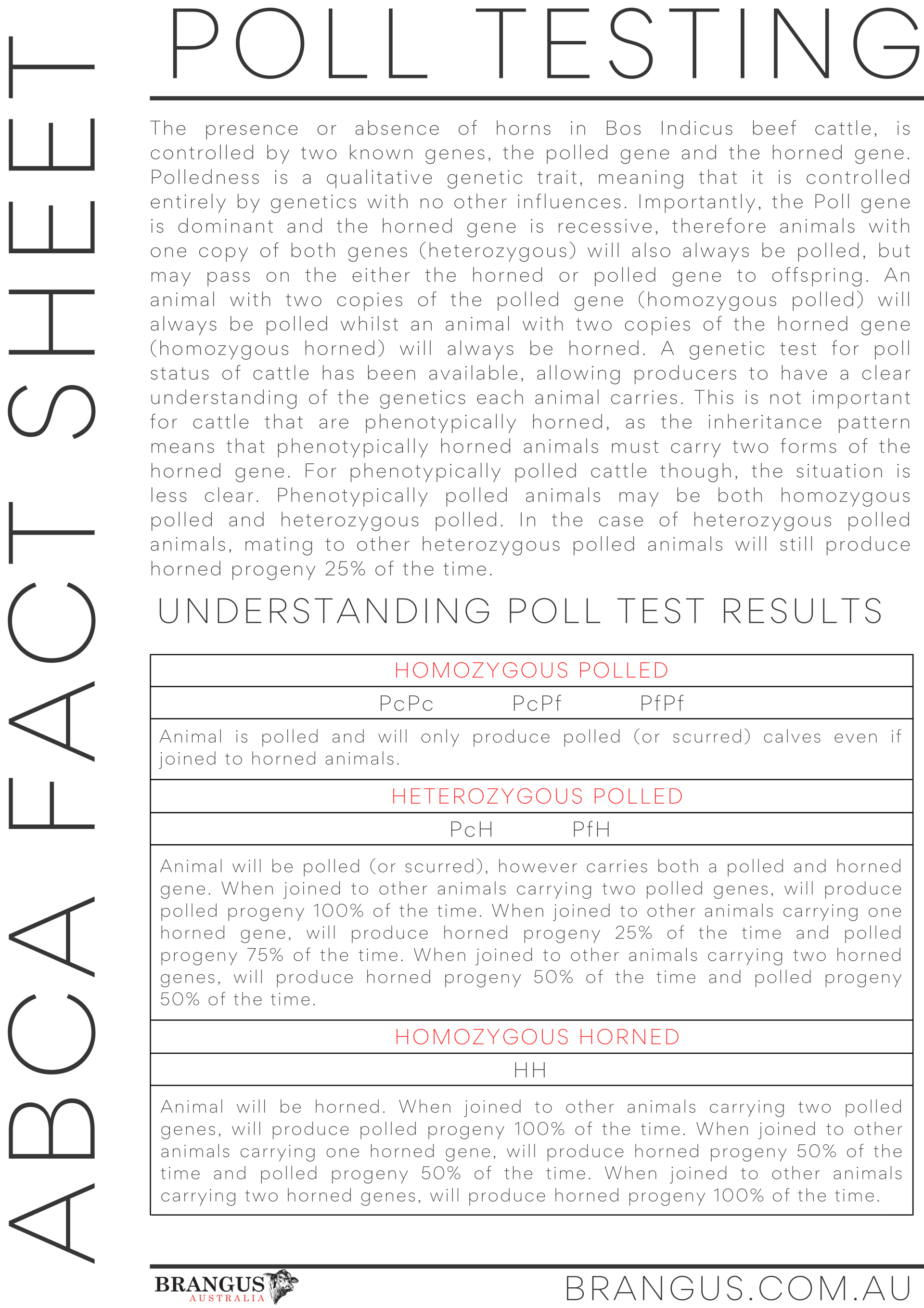 Poll Testing - Fact Sheet